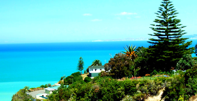 Honeymoon in Napier | Napier Honeymoon Guide & Tour Packages