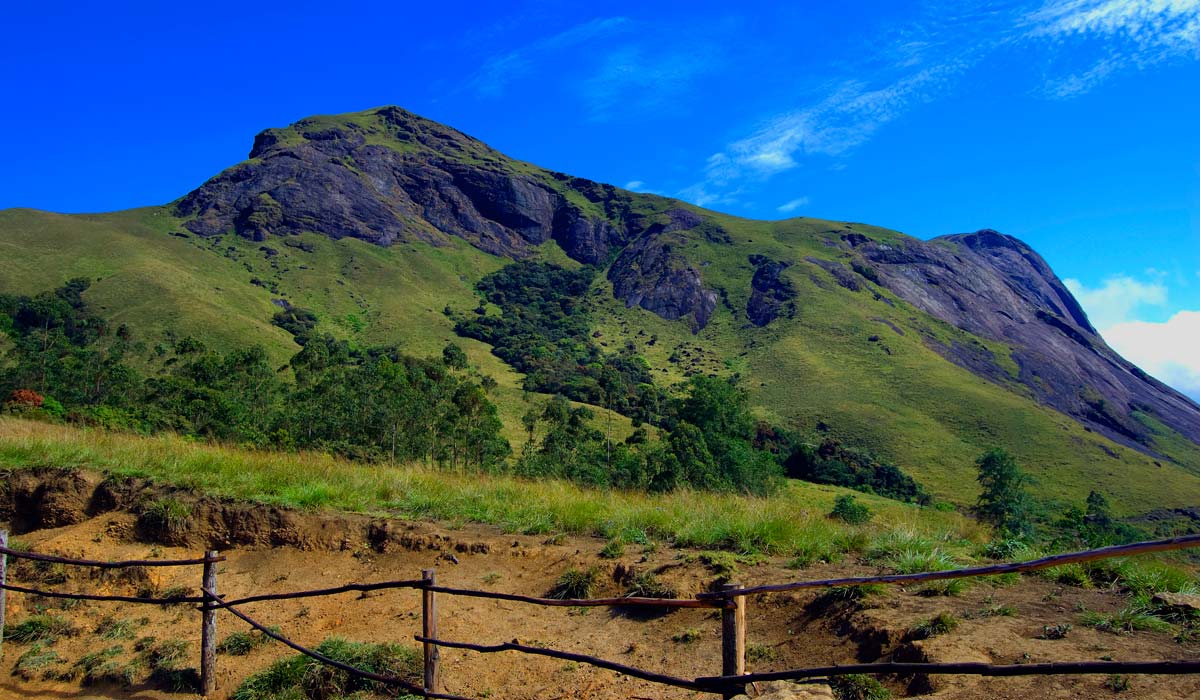 Top 16 Munnar Tourist Places to Visit | Places to See in Munnar, Kerala